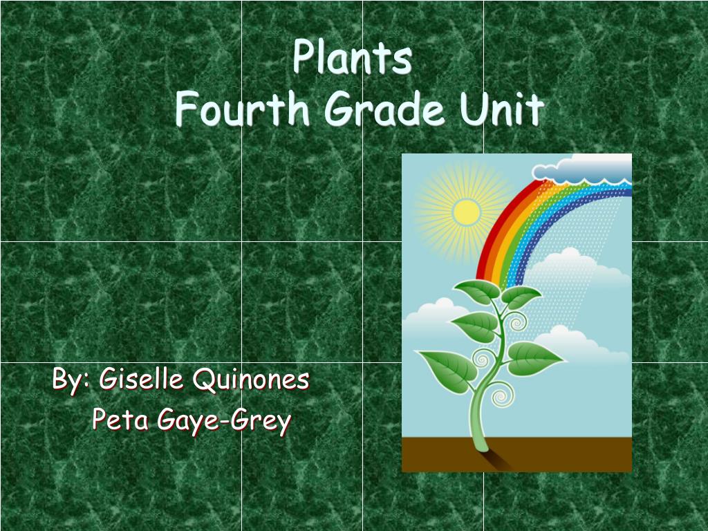 PPT - Plants Fourth Grade Unit PowerPoint Presentation, free download ...
