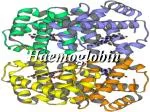 PPT - HAEMOGLOBIN ESTIMATION PowerPoint Presentation, free download ...
