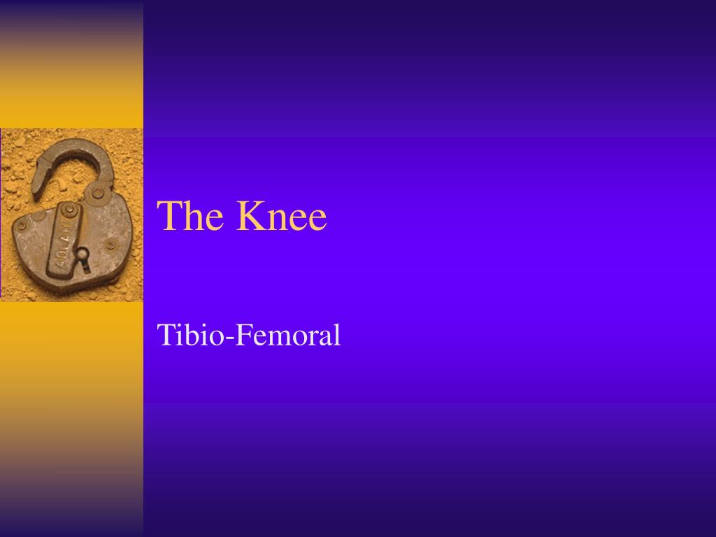 PPT - The Knee PowerPoint Presentation, free download - ID:6712711