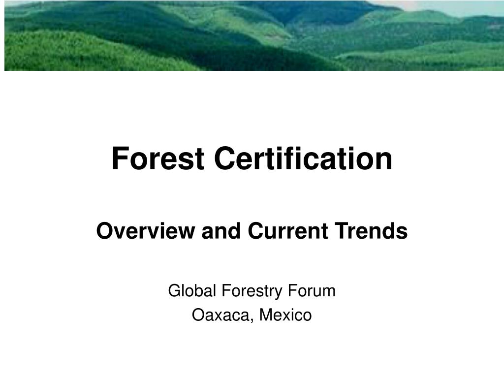 PPT - Forest Certification PowerPoint Presentation, free download - ID ...