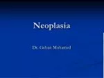 PPT - Neoplasia PowerPoint Presentation, free download - ID:6111587
