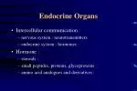 PPT - Organs of Speech PowerPoint Presentation, free download - ID:9417005