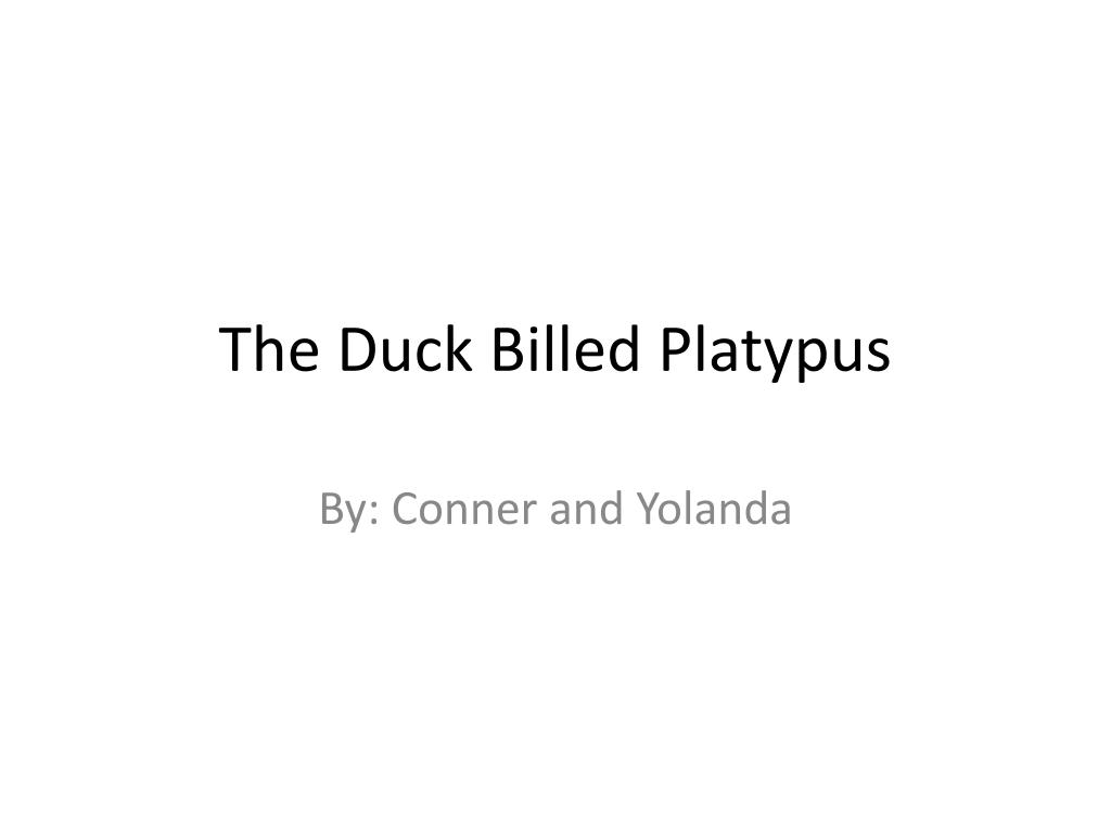PPT - The Duck Billed Platypus PowerPoint Presentation, free download ...
