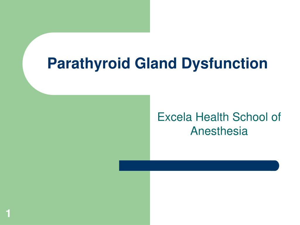 PPT - Parathyroid Gland Dysfunction PowerPoint Presentation, free ...