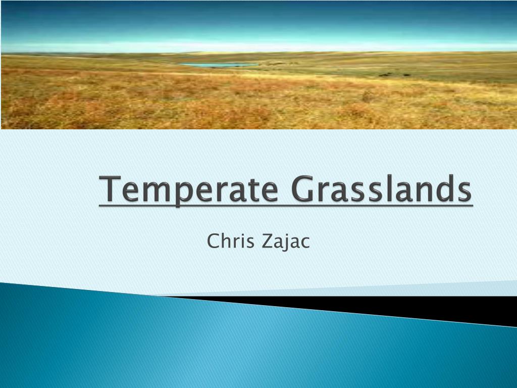 PPT - Temperate Grasslands PowerPoint Presentation, free download - ID ...