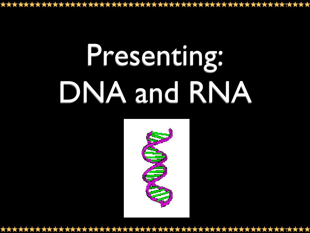 PPT - Presenting: DNA and RNA PowerPoint Presentation, free download ...