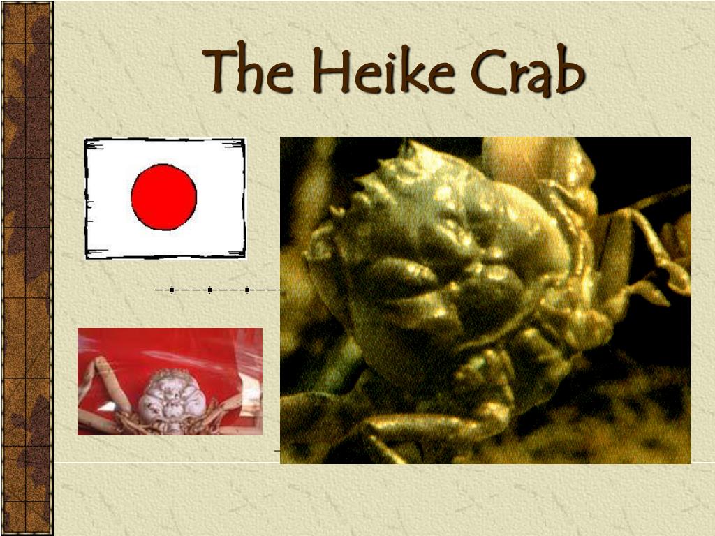 PPT - The Heike Crab: A Tale of Samurai Honor PowerPoint Presentation ...
