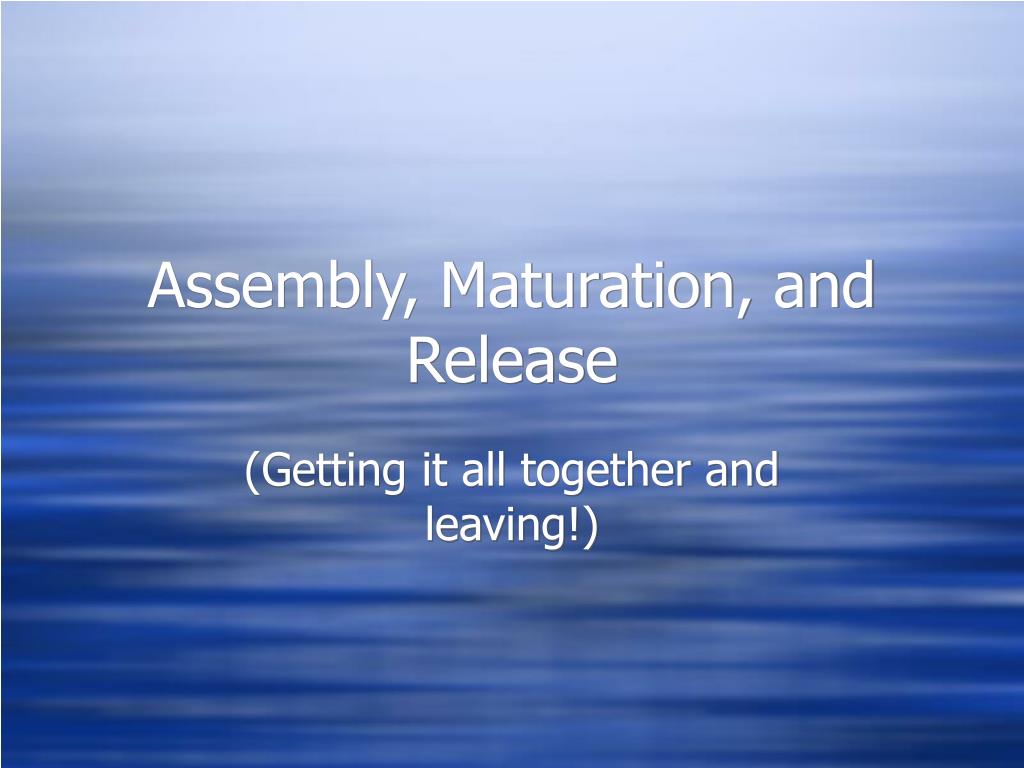 PPT - Assembly, Maturation, and Release PowerPoint Presentation, free ...