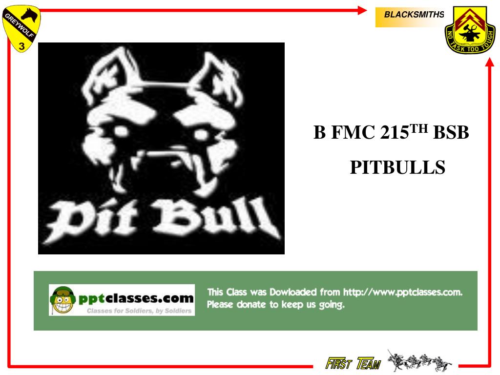 PPT - ARMY PHYSICAL PROFILES INSTRUCTOR: SSG CLAUSEN PowerPoint ...