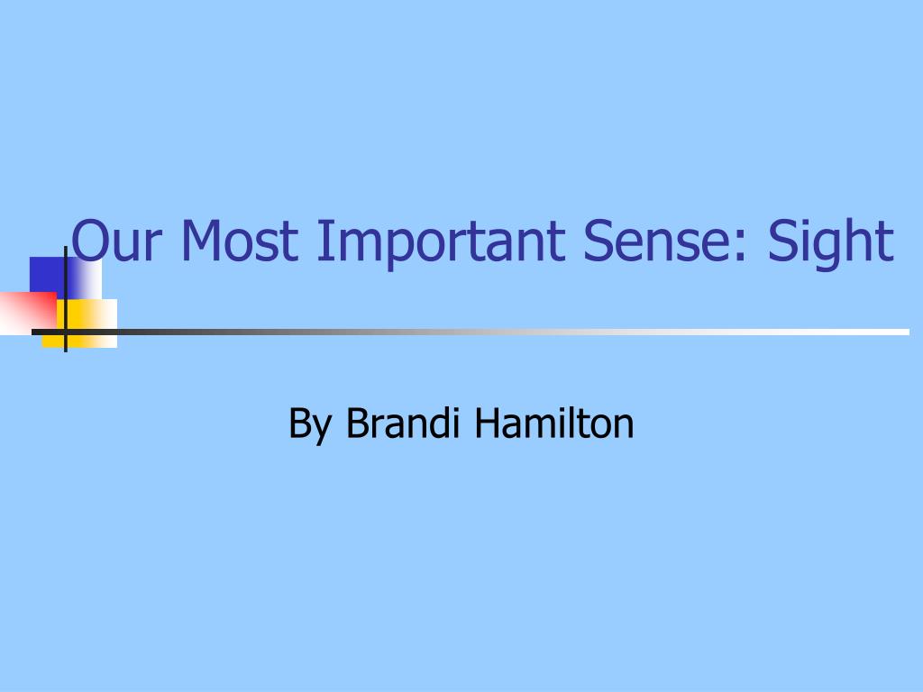 PPT - Our Most Important Sense: Sight PowerPoint Presentation, free ...