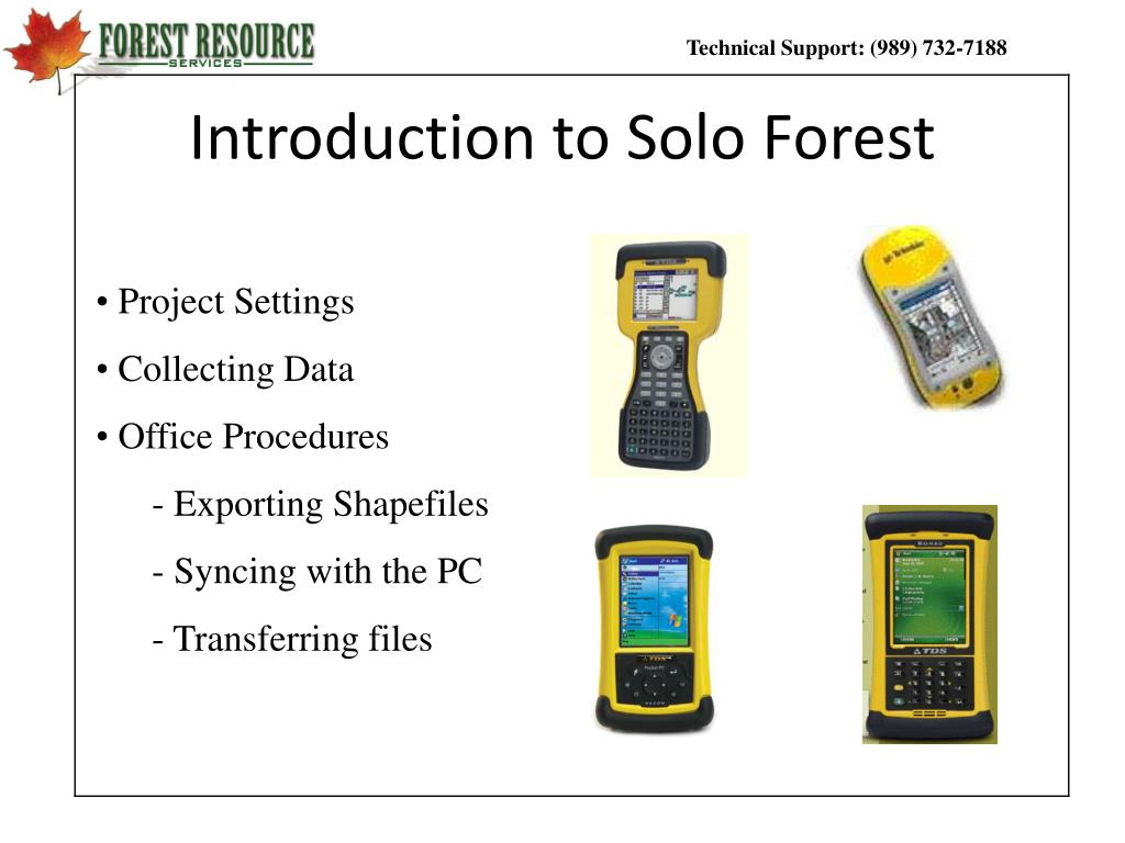 PPT - Introduction to Solo Forest PowerPoint Presentation, free ...