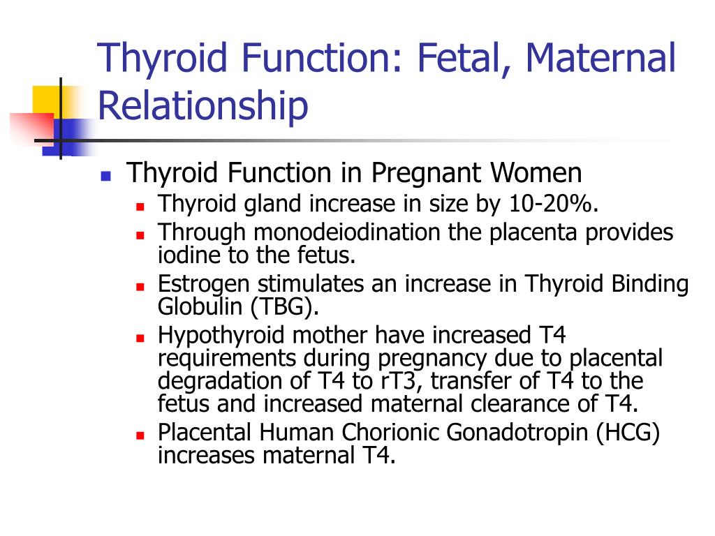 PPT - Thyroid Function: Fetal, Maternal Relationship PowerPoint ...
