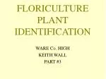 PPT - Plant Identification PowerPoint Presentation, free download - ID ...