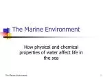 PPT - Introduction to the Marine Environment PowerPoint Presentation ...