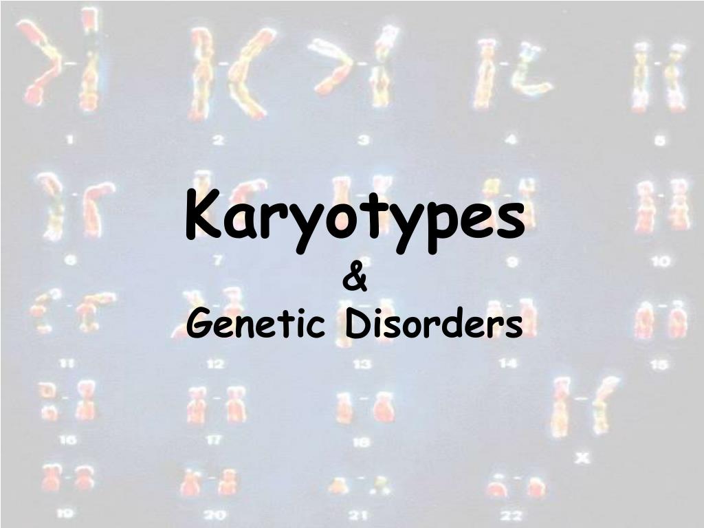 PPT - Karyotypes & Genetic Disorders PowerPoint Presentation, free ...