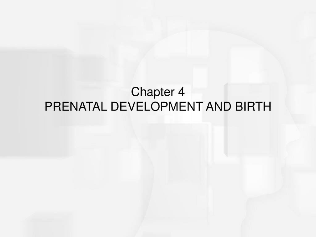 PPT - Chapter 4 PRENATAL DEVELOPMENT AND BIRTH PowerPoint Presentation ...