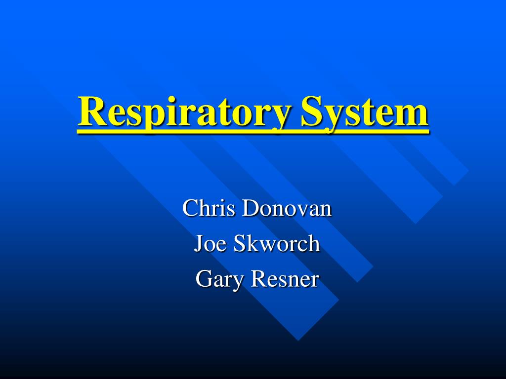 PPT - Respiratory System PowerPoint Presentation, free download - ID ...
