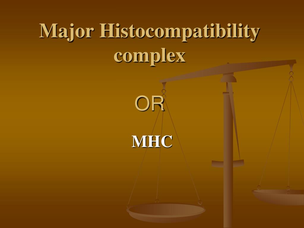 PPT - Major Histocompatibility complex OR PowerPoint Presentation, free ...