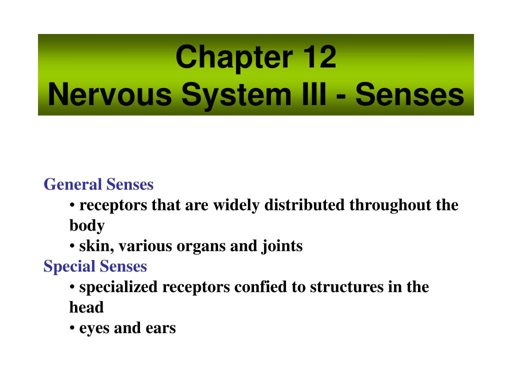 PPT - Chapter 12 Nervous System III - Senses PowerPoint Presentation ...