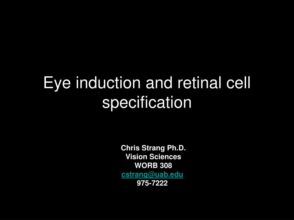 PPT - Eye induction and retinal cell specification PowerPoint ...