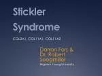 PPT - Stickler Syndrome PowerPoint Presentation, free download - ID:1207694