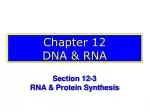 PPT - Chapter 12 DNA RNA PowerPoint Presentation, free download - ID ...