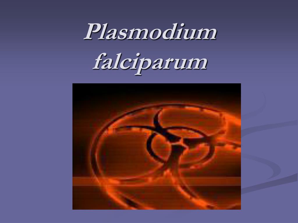 PPT - Plasmodium falciparum PowerPoint Presentation, free download - ID ...