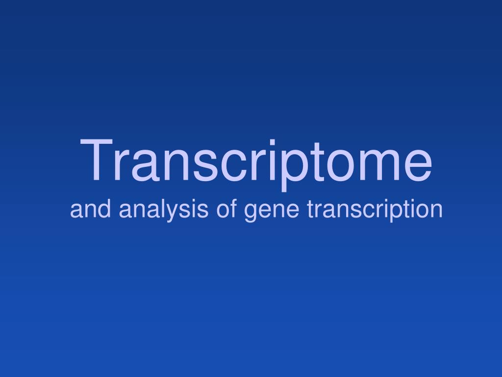 PPT - Transcriptome and analysis of gene transcription PowerPoint ...