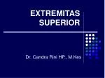 PPT - ANATOMI EXTREMITAS SUPERIOR PowerPoint Presentation, free ...