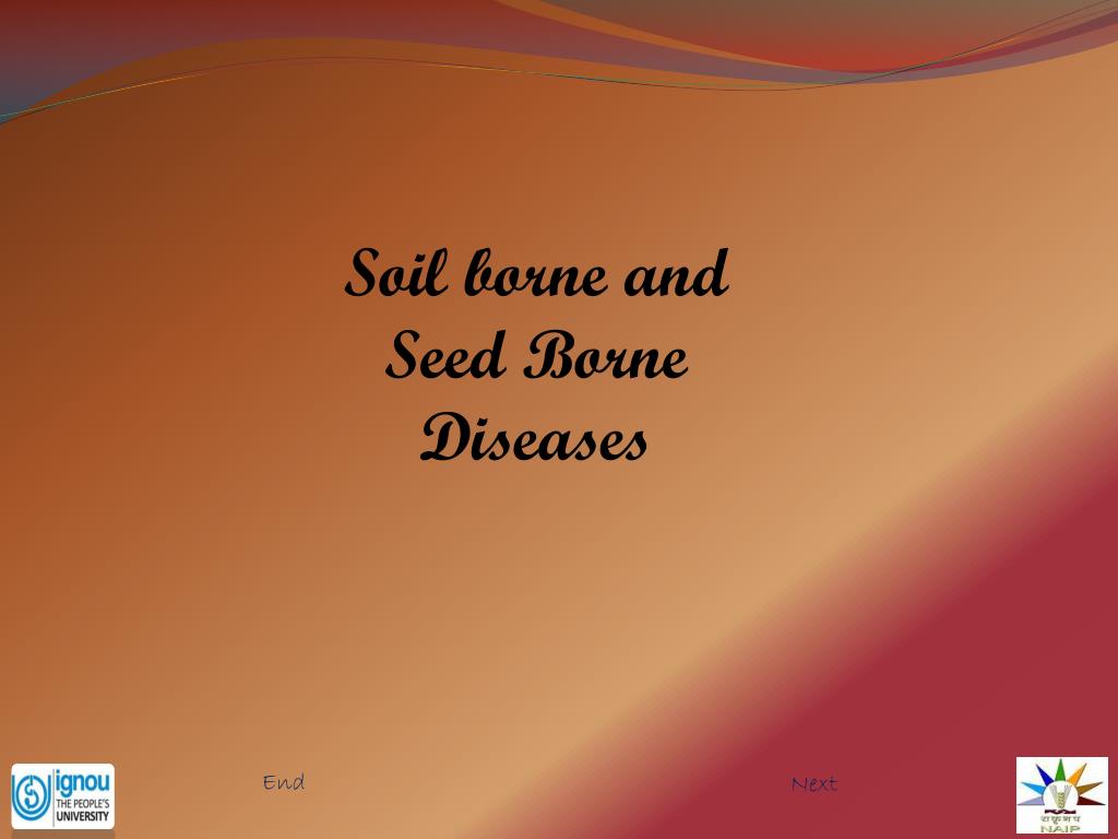 PPT - Soil borne and Seed Borne Diseases PowerPoint Presentation, free ...