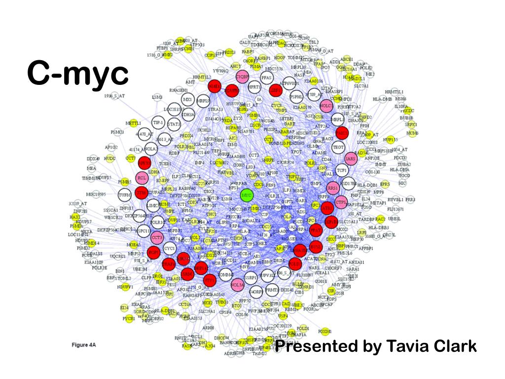 PPT - C-myc PowerPoint Presentation, free download - ID:6756049