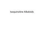 PPT - ALKALOIDS PowerPoint Presentation, free download - ID:149540