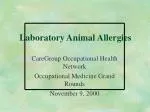 PPT - Laboratory Animal Handling Technique PowerPoint Presentation ...