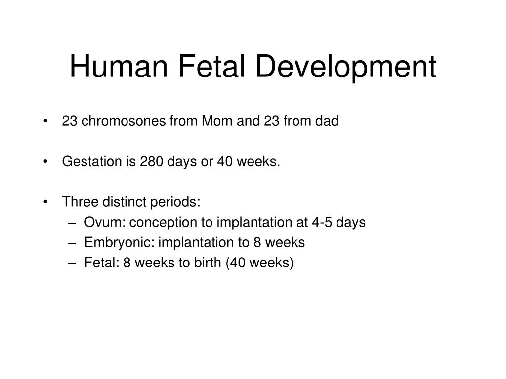 PPT - Human Fetal Development PowerPoint Presentation, free download ...