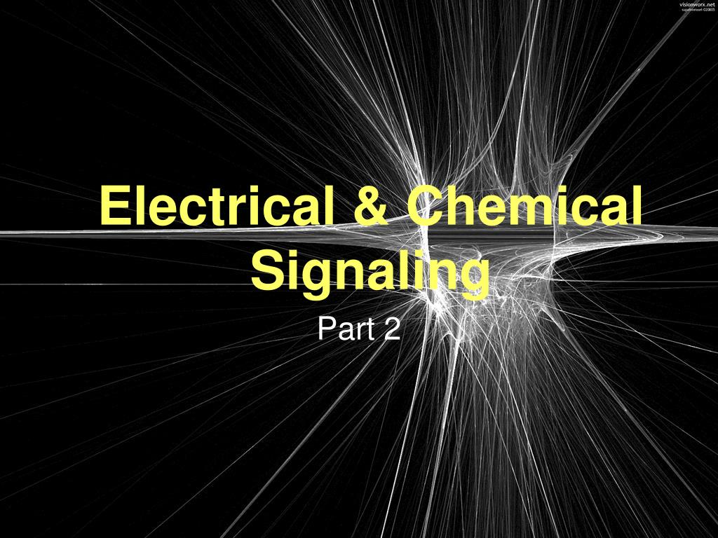 PPT - Electrical & Chemical Signaling PowerPoint Presentation, free ...
