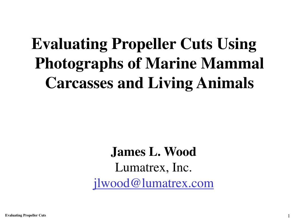 PPT - Evaluating Propeller Cuts PowerPoint Presentation, free download ...
