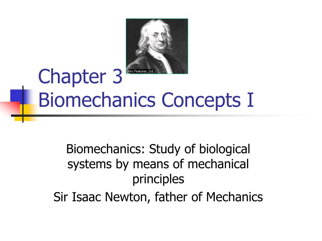 PPT - Chapter 3 Biomechanics Concepts I PowerPoint Presentation, free ...