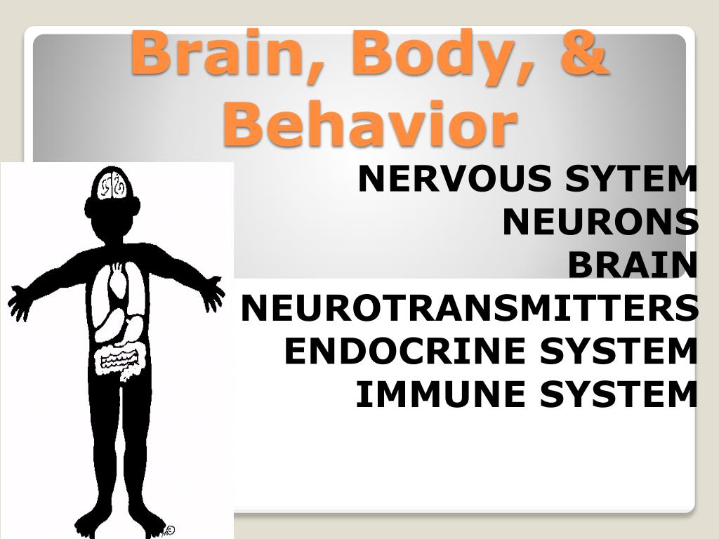 PPT - Brain, Body, & Behavior PowerPoint Presentation, free download ...