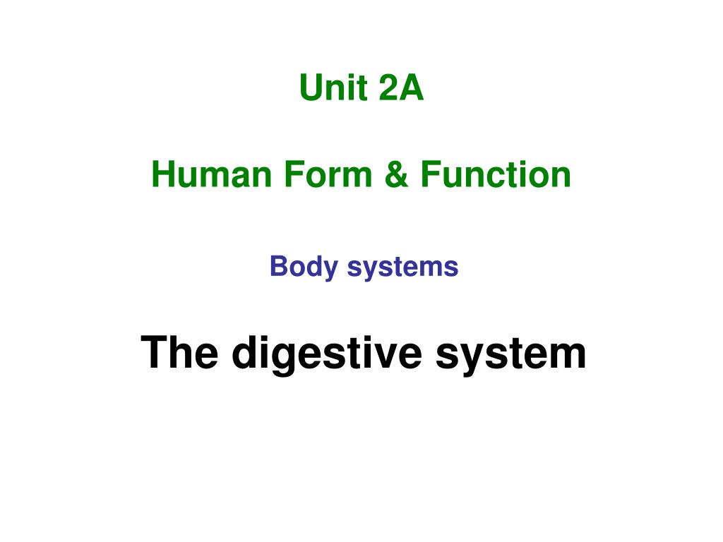 PPT - Unit 2A Human Form & Function PowerPoint Presentation, free ...