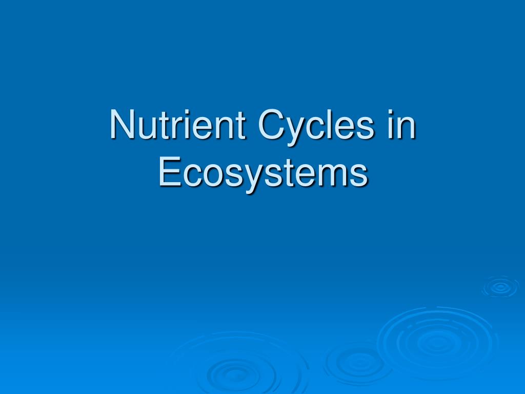 PPT - Nutrient Cycles in Ecosystems PowerPoint Presentation, free ...