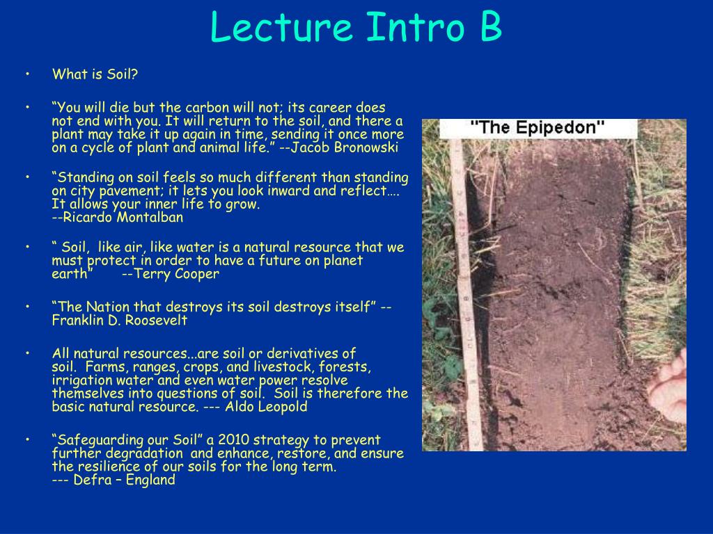 PPT - Lecture Intro B PowerPoint Presentation, free download - ID:6774605