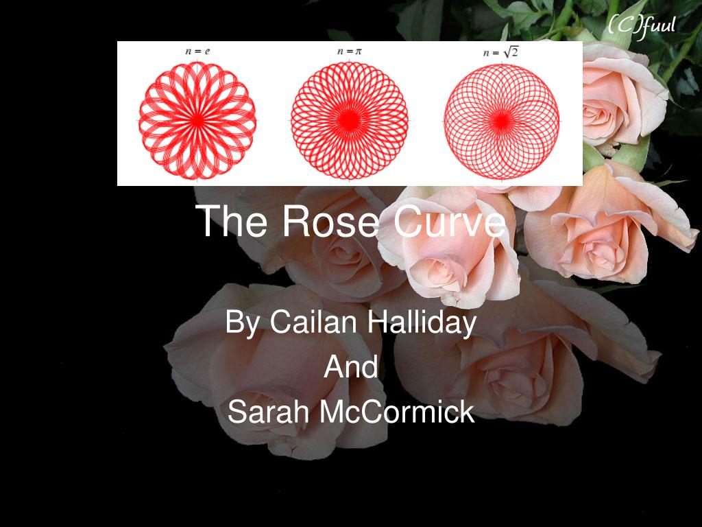 PPT - The Rose Curve PowerPoint Presentation, free download - ID:6781324
