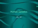PPT - Human Genetics PowerPoint Presentation, free download - ID:6322759