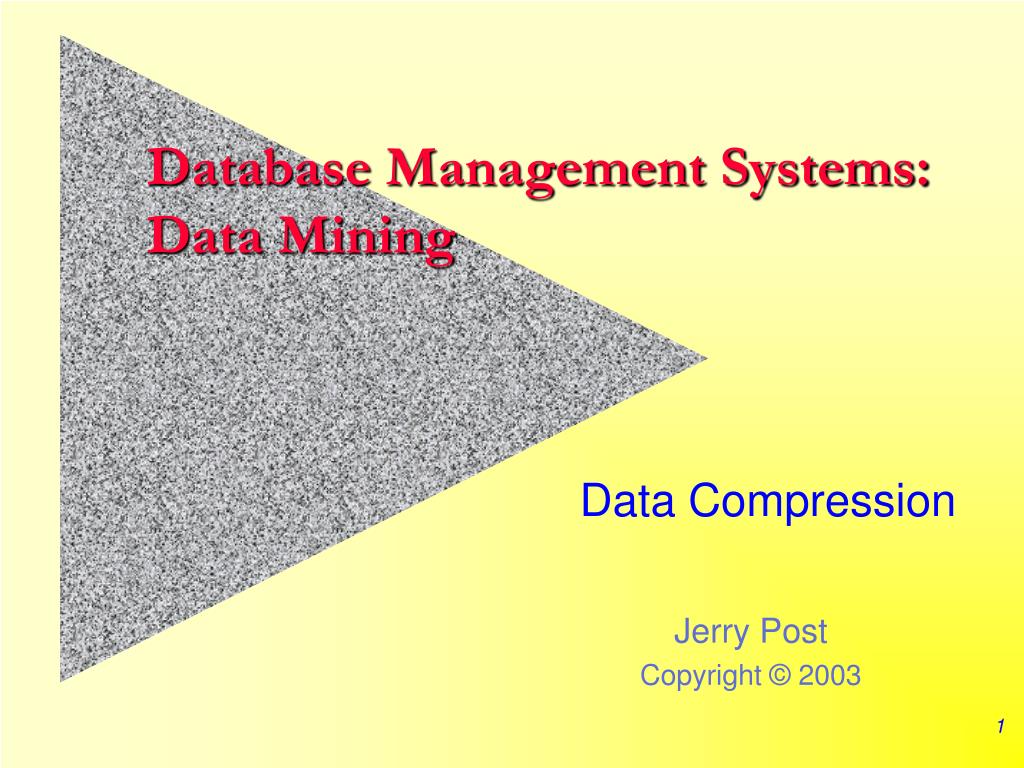 PPT - Database Management Systems: Data Mining PowerPoint Presentation ...