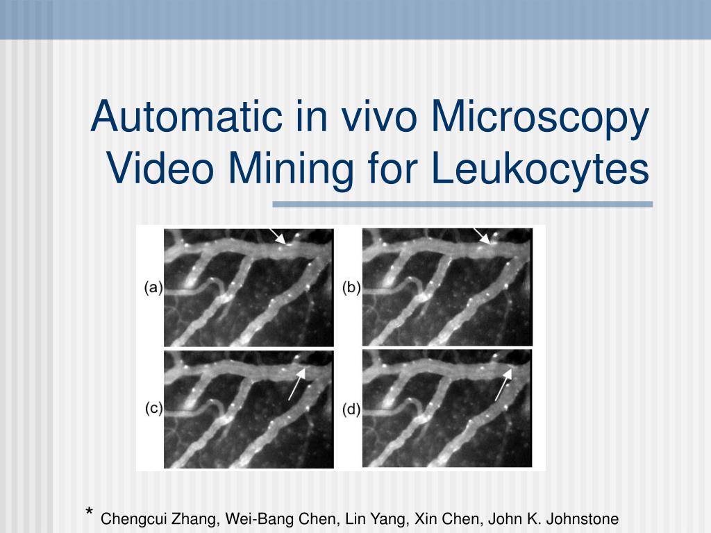 PPT - Automatic in vivo Microscopy Video Mining for Leukocytes ...