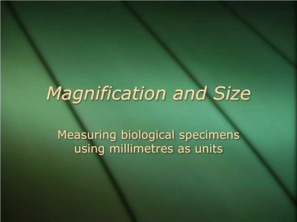 PPT - Magnification and Size PowerPoint Presentation, free download ...