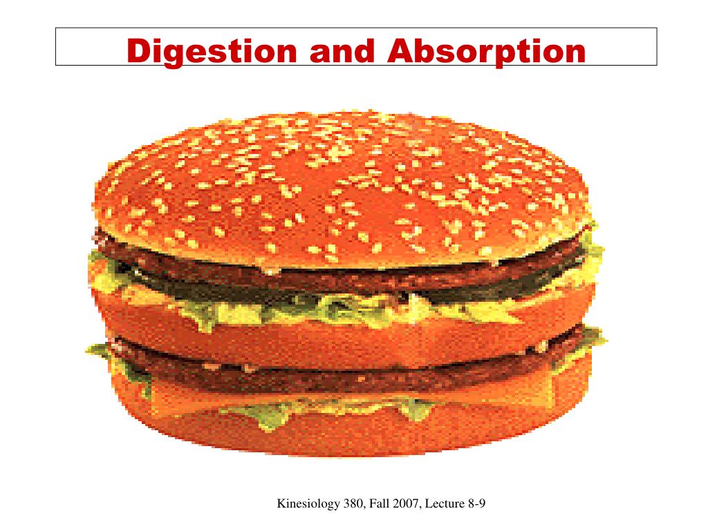 PPT - Digestion and Absorption PowerPoint Presentation, free download ...