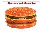 PPT - Physiology of Digestion and Absorption 2 PowerPoint Presentation ...
