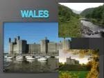 PPT - WALES PowerPoint Presentation, free download - ID:2240038