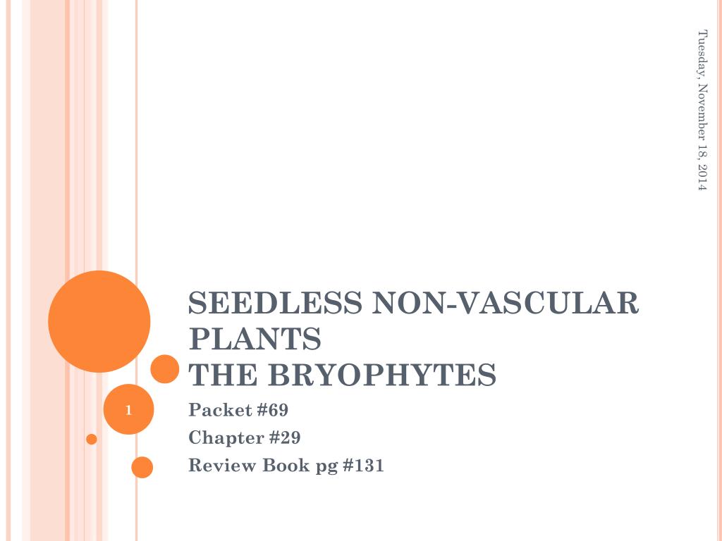 PPT - SEEDLESS NON-VASCULAR PLANTS THE BRYOPHYTES PowerPoint ...